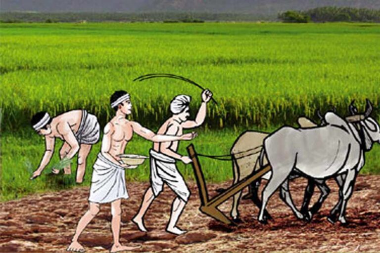 उत्कृष्ट कृषक सम्मानित | SouryaOnline