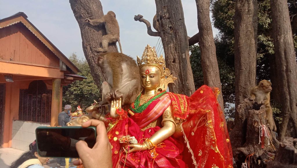 पाथीभरा मन्दिर गाउँपालिकाको स्वामित्वमा | SouryaOnline